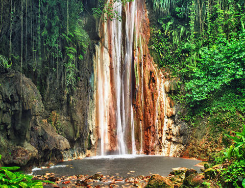 Diamond Falls Botanical Gardens - Saint Lucia Life
